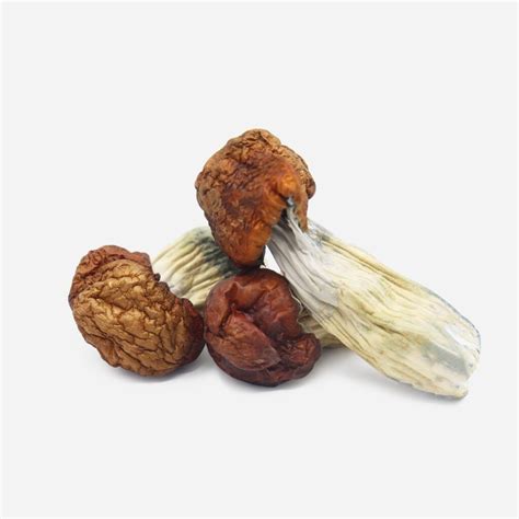 Blue Pulaski Magic Mushrooms Bloom Supply