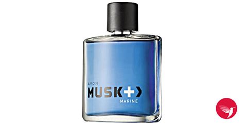 Musk + > Marine Avon cologne - a fragrance for men 2015