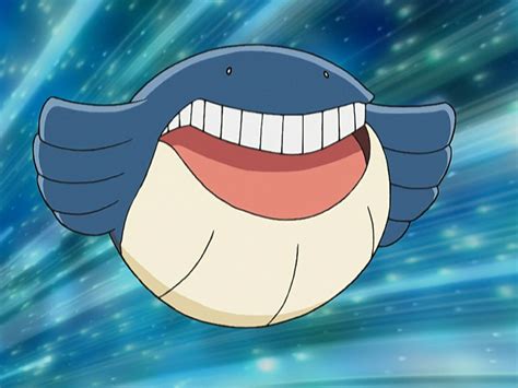 An Unknown Coordinators Wailmer International Pokédex Wiki Fandom
