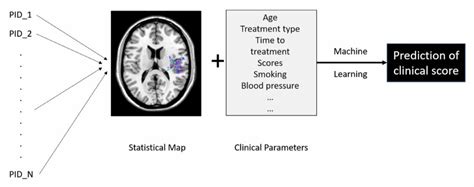 Stroke Clinical Outcome Prediction Miplab Medical Image Processing