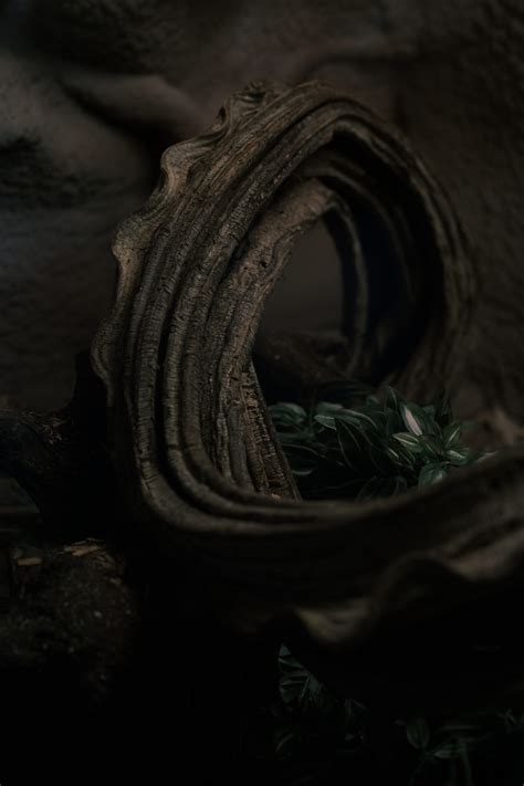 Interview Michael Jacobson Samplekanon