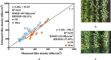 Comparison Between The Observed Values And Estimated Values For The