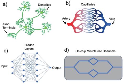 Schematic Representation Of Elementary Structural Features Of The Download Scientific Diagram