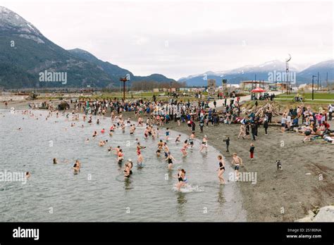 Crowds Brave Freezing Weather For The 2025 New Years Day Polar Bear