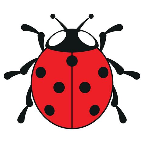 Seven Spot Ladybird Color Illustration Of Seven Spotted Ladybug