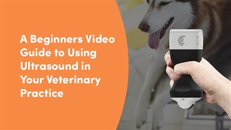 [VIDEO] A Beginners Video Guide to Using Ultrasound in Your Veterinary ...