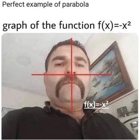 Perfect Parabola Rmathmemes