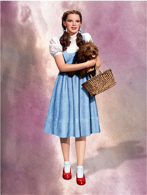 Dorothy Gale Wizard Of Oz Dorothy Costume
