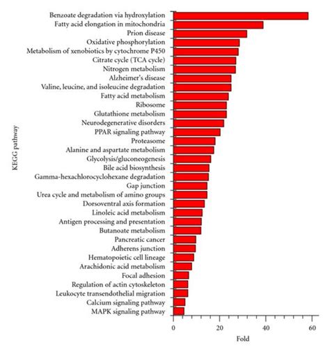Significantly Enriched Kegg Pathways For Mouse Liver Microsome Proteins Download Scientific
