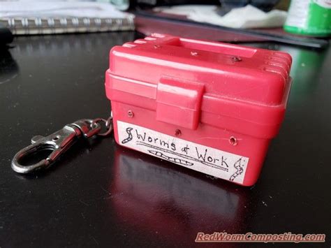 Red Worm Composting Way Too Much Fun With Worms Worm Composting