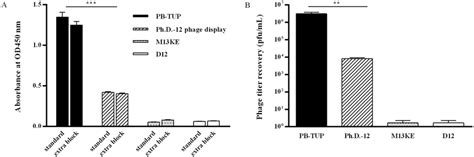 Evaluation Of Secondary Antibody Binding To Polystyrene A The