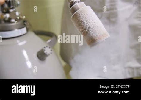 Laboratory Liquid Nitrogen Test Tube Stock Videos And Footage Hd And 4k