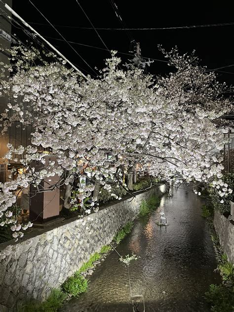 じゅーー Junyjunjuny Twitter