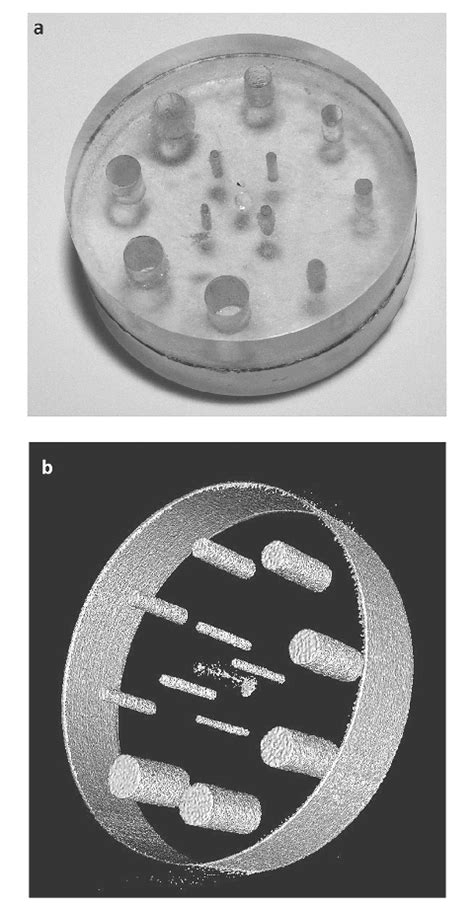 A Acrylic Phantom And B Marching Cubes Surface Reconstruction No
