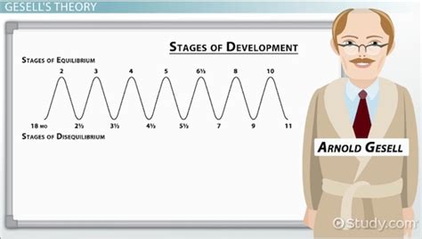 Arnold Gesells Biography Contribution Theory And Significance