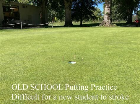 Neuroscience Putt Rite Example Target And Aiming System For Beginners