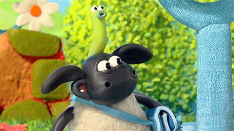 Happy Timmy Time  By Aardman Animations Find And Share On Giphy