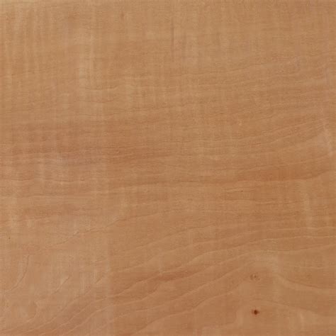 Maple Timber Veneer 156 Australian Premier Veneers