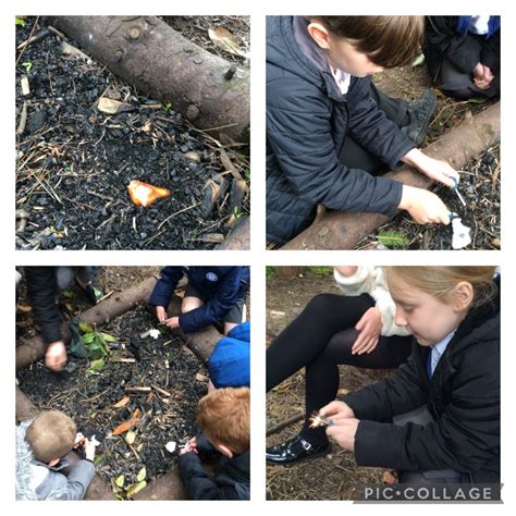 How Have Humans Evolved Over Time St Lukes Blog Pages