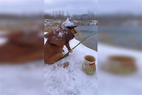 寒江孤影江湖故人