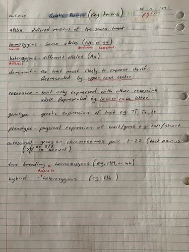 Module 5 Heredity Genetic Variation Flashcards Quizlet