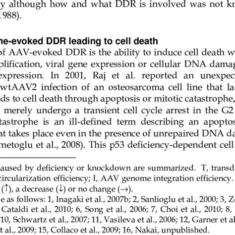 Wild Type Aav Wtaav And Recombinant Aav Raav A Structural