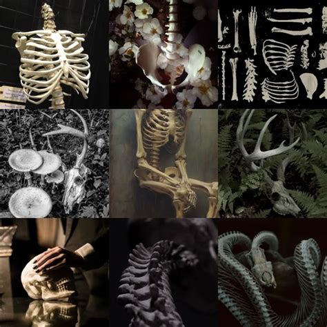 Bone Themed Moodboard Bones Color Palette Bone Powers Bones And