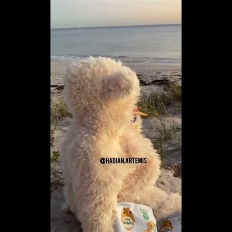 چقدر بابا شدن بهش میاد🥲🤍👼🏻 Youtube