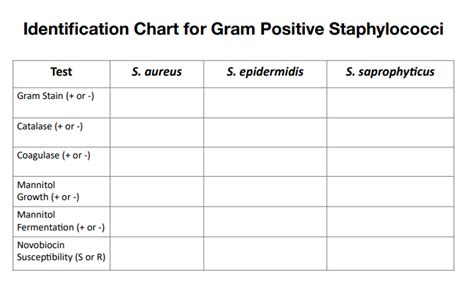 Solved Identification Chart For Gram Positive Staphylococci