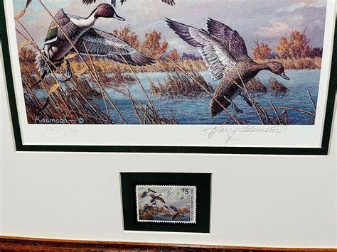 Ducks Unlimited Art Contest