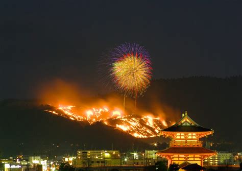 若草山の山焼き 選りすぐりのスポットを紹介！ 鹿は大丈夫？ 情宝庫