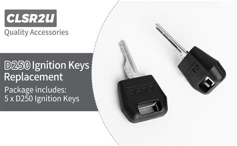 5 Pcs D250 Ignition Keys Replacement Key For Case Ih