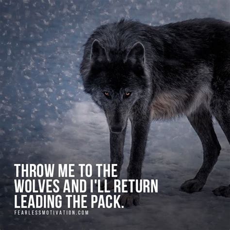 20 Strong Wolf Quotes To Pump You Up Wolves And Wolfpack Quotes