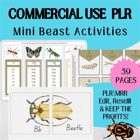 Insect Learning Activities And Flashcards For Homeschool Or Classroom