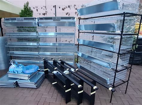 Rastel Pentru Custi De Prepelite Microferma Prepelite Craiova