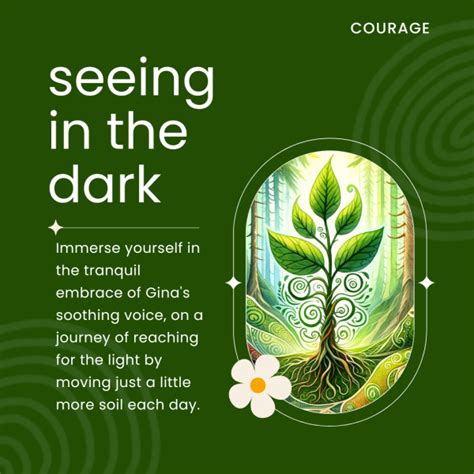 Inner Compass Collection Guided Visualizations Wayfinder