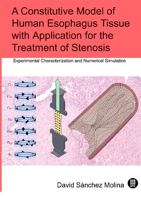 Pdf A Constitutive Model Of Human Esophagus Tissue With Application For The Treatment Of Stenosis