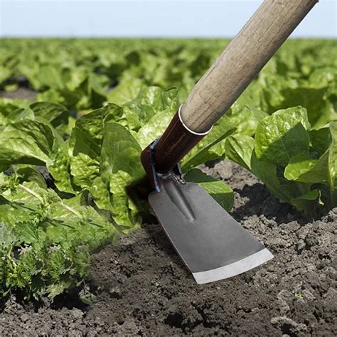 Cetilox Outdoor Weeding Hoe Manganese Steel Stirrup Hoe Without Handle