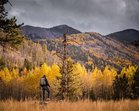 17 Highest Rated Running And Hiking Trails Near Flagstaff Az Wild