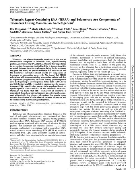 Pdf Telomeric Repeat Containing Rna Terra And Telomerase Are Components Of Telomeres During