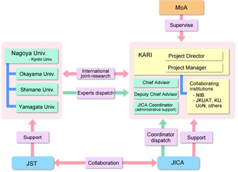 Implementation Structure Nagoya University Satreps The Project On