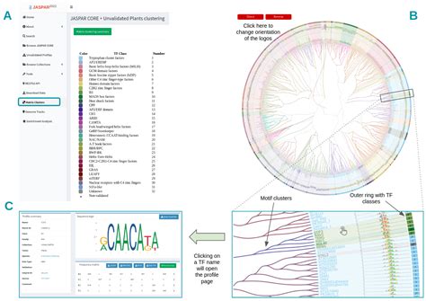 Jaspar Documentation