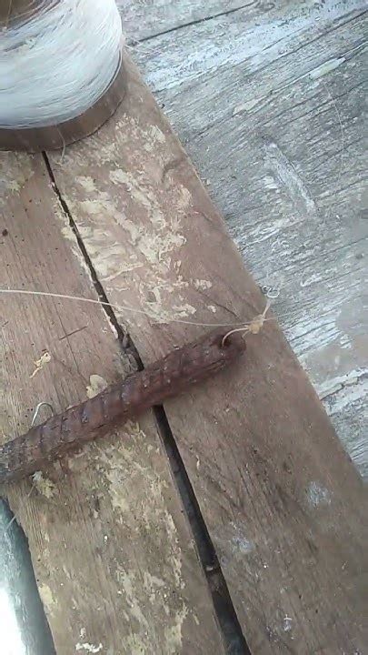 Ini Lgi Persiapan Alat Mau Mancing Ikan Yang Besar Besar Gays Shorts