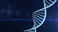 Dna S Get The Best  On Er
