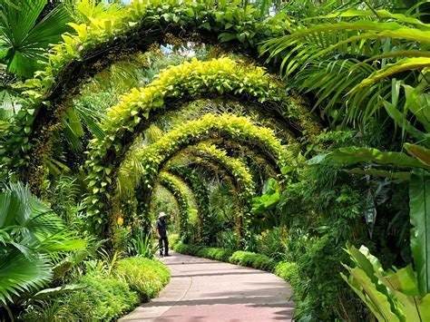 Best Places To See In Singapore Must Visit 2025 2026