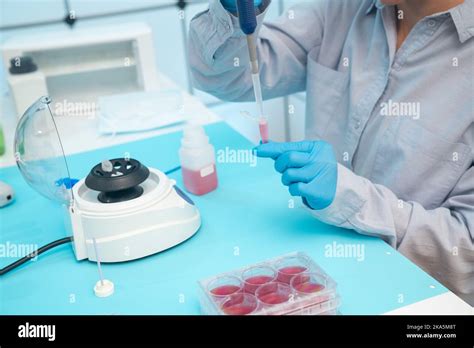 A Young Female Laboratory Assistant In A Microbiological Laboratory Examines The Resistance Of