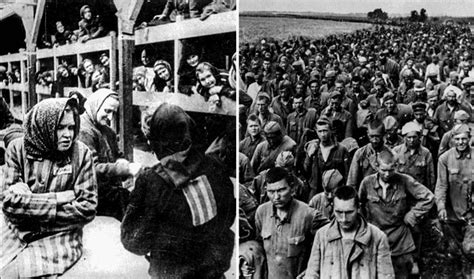 El Desconocido Burdel De Mauthausen El Horror De La Explotación Sexual