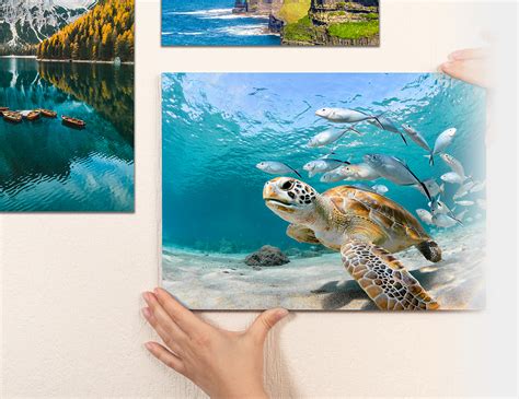 Cluster Of Stick And Switch