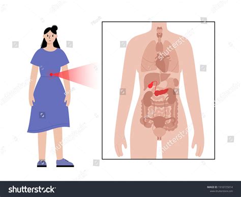 Pancreas Pain Location