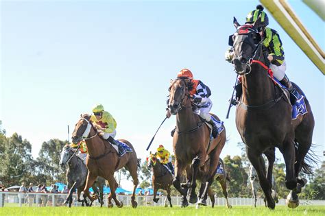 Sentrack Friday Best Bets From Miles Pfitzner And Campbell Brown 15 11 — Sen